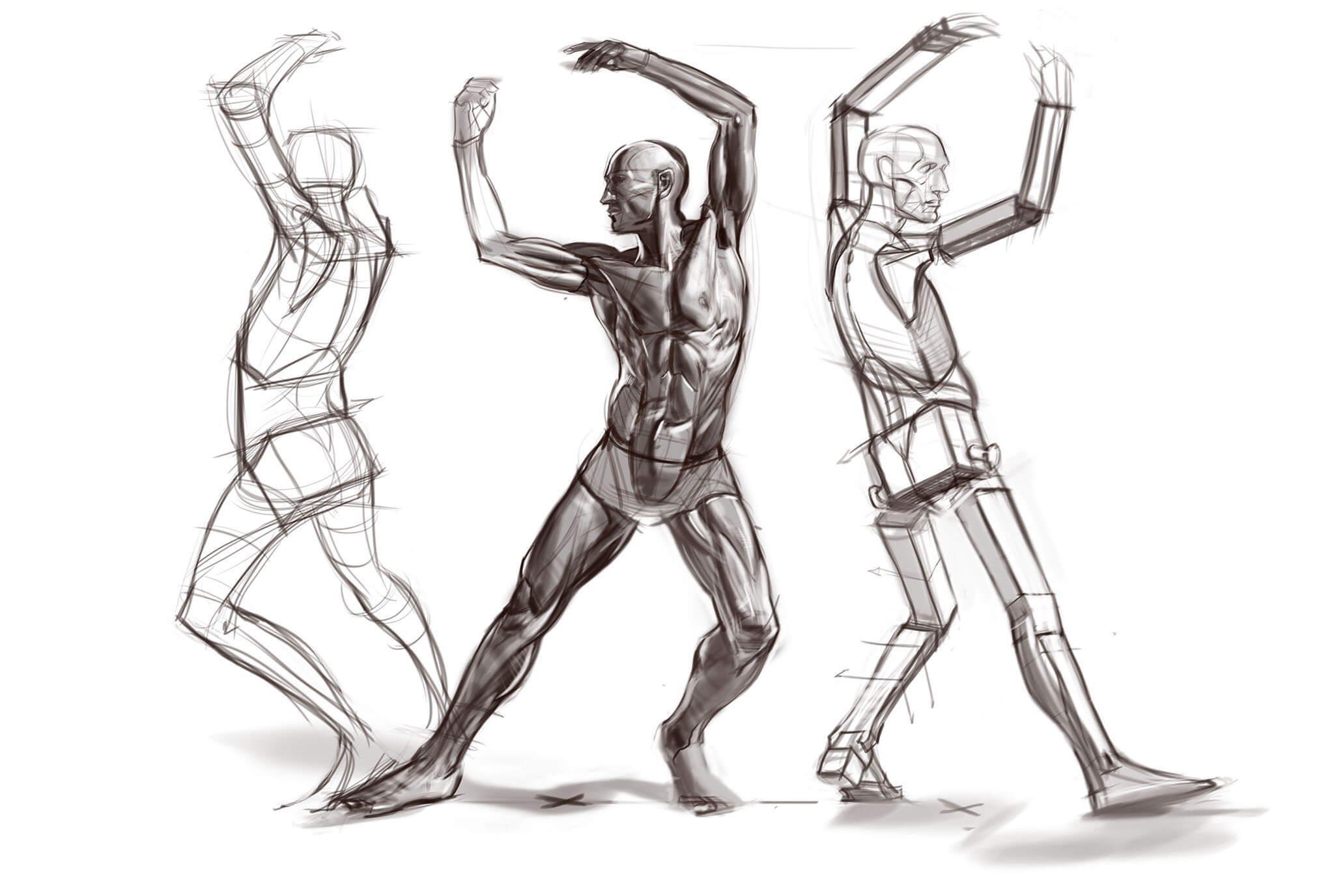 Male Fitness - Bodies In Motion