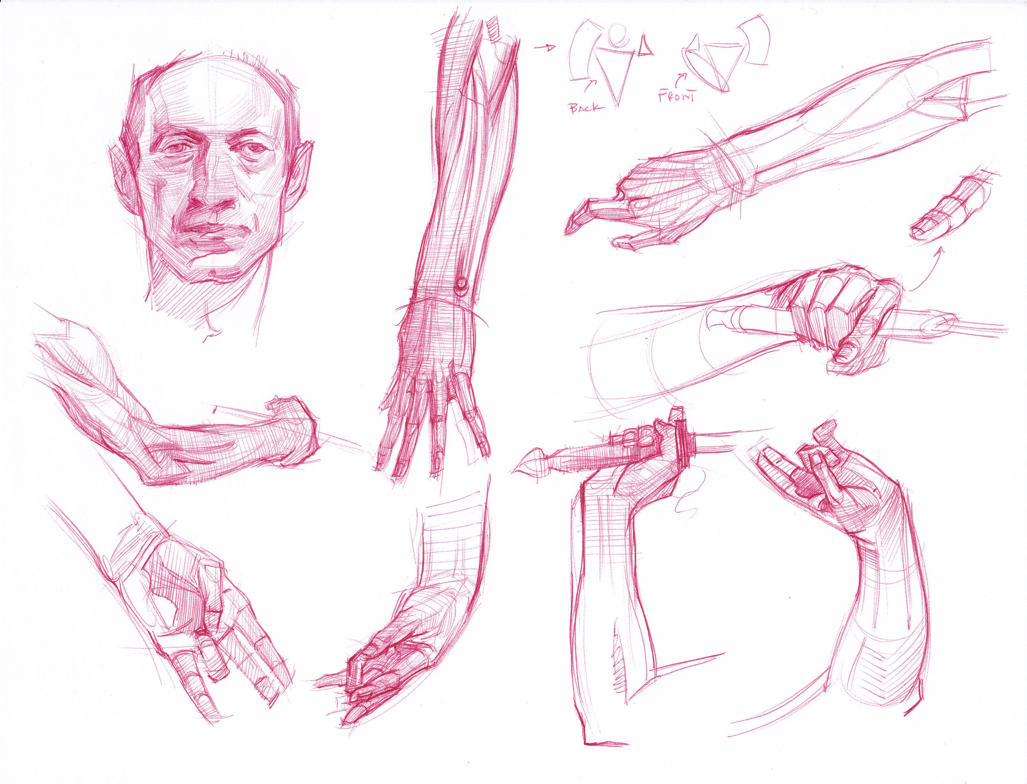 Head and Hands - Bodies In Motion