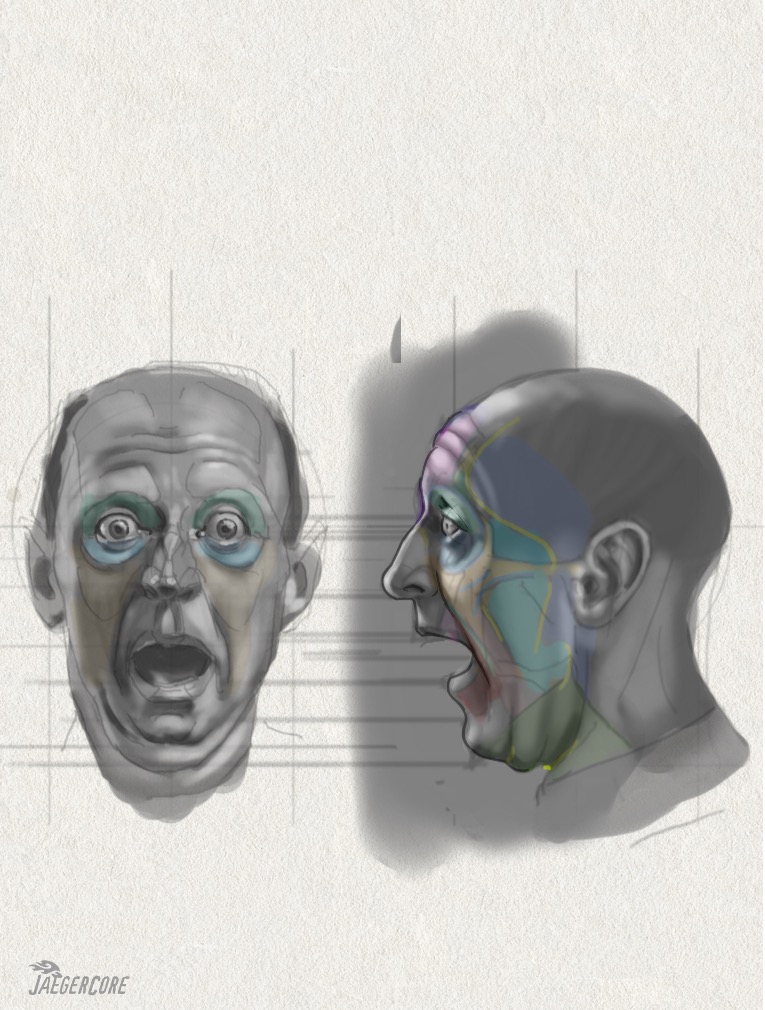 Shock - Bodies In Motion