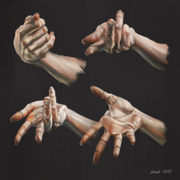 Hand study - Bodies In Motion