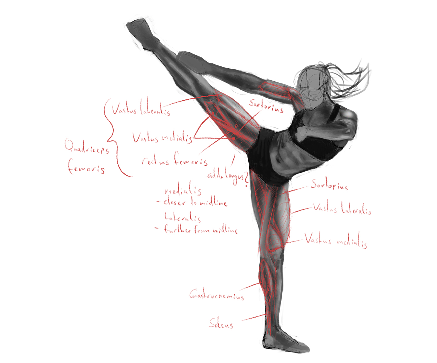 Dance Study - Bodies In Motion