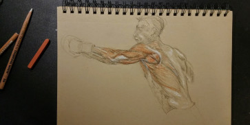 Ecorche Study - Bodies In Motion