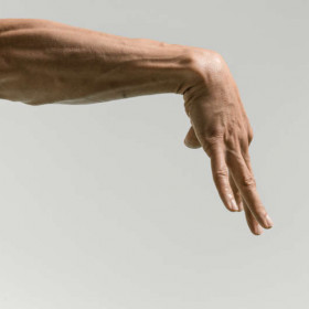 Morning of hands - Bodies In Motion