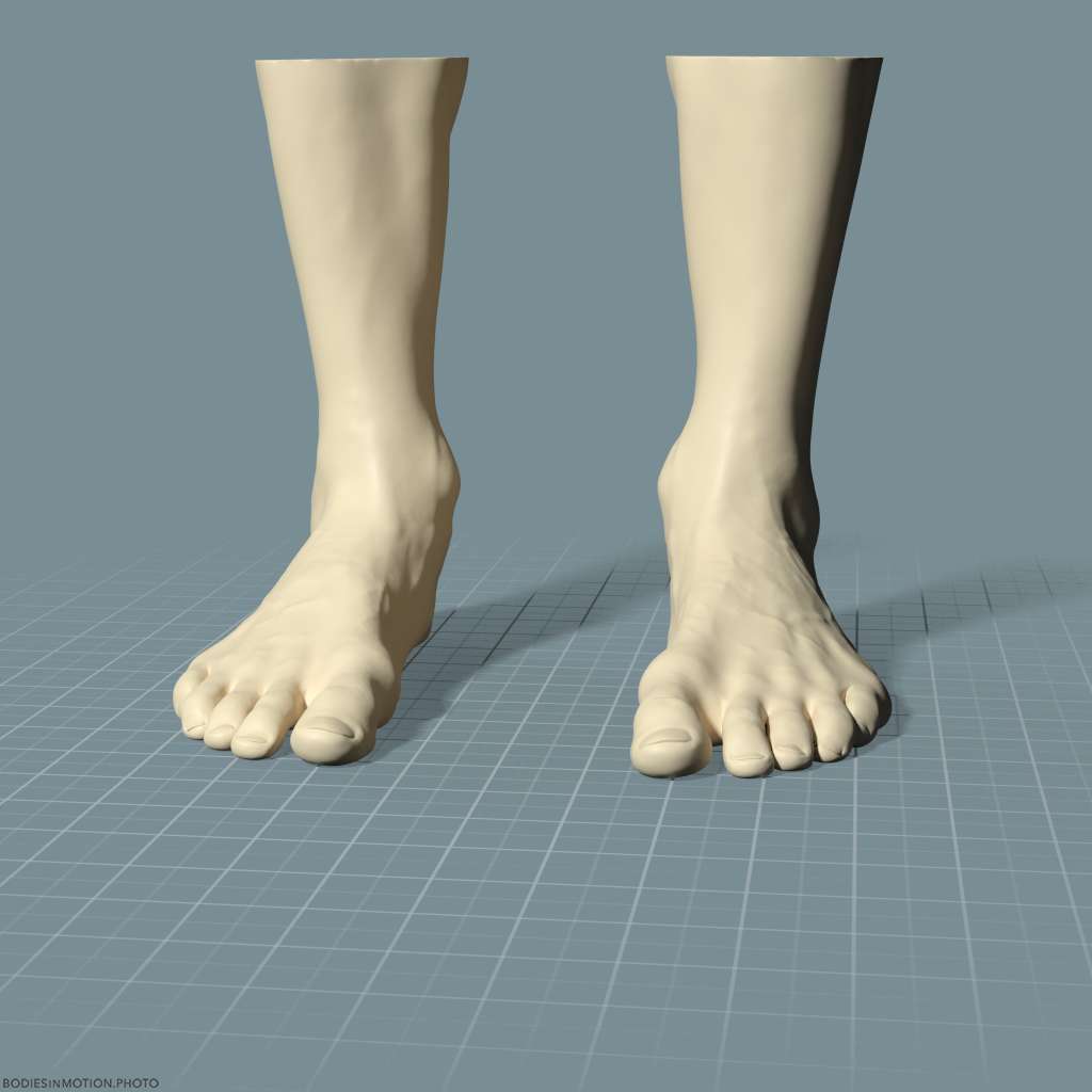 MaleFoot pair neutral v2 keyLightBlue - Bodies In Motion