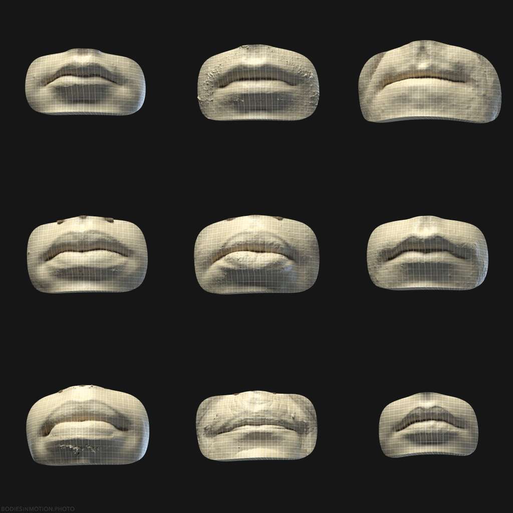 Facial Anatomy - Lips1 Grid threePoint - Bodies In Motion