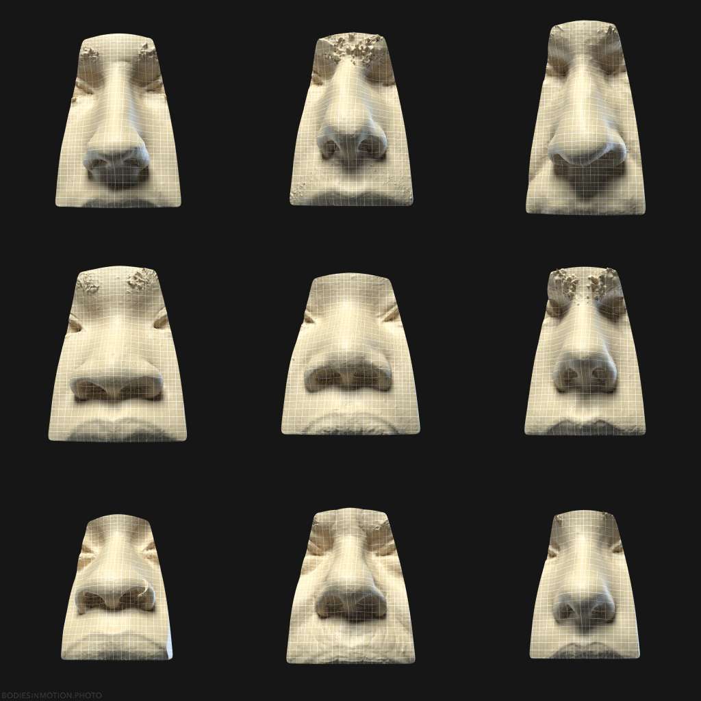 Facial Anatomy - Noses Grid 1 threePoint - Bodies In Motion
