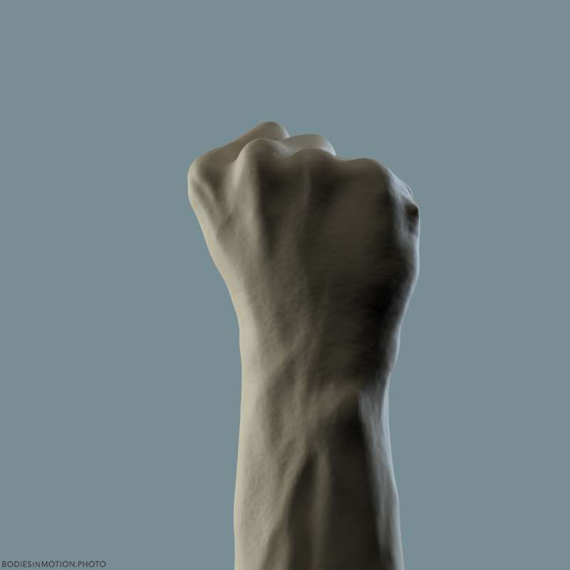 Athletic Male Hand 15 fist rim - Bodies In Motion