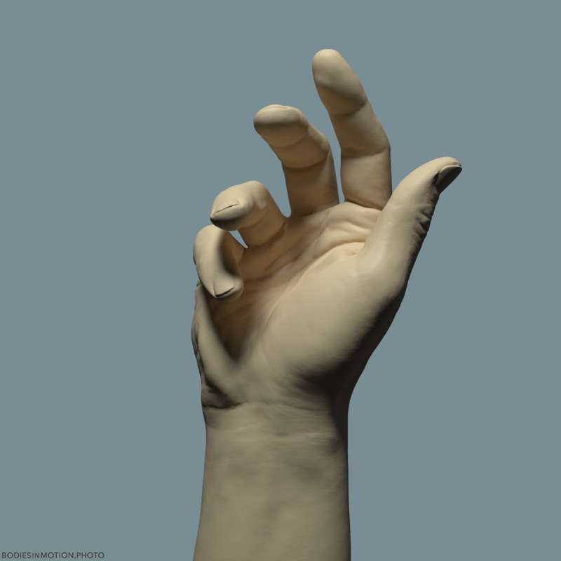 Athletic Male Hand 26 finger curl keyLightBlue - Bodies In Motion