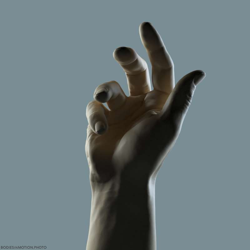 Athletic Male Hand 26 finger curl rim - Bodies In Motion