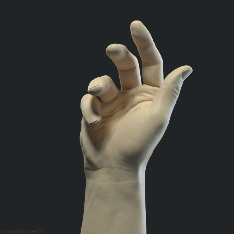 Athletic Male Hand 26 finger curl threePoint - Bodies In Motion
